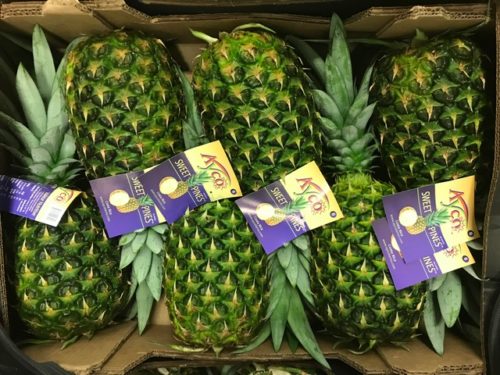 Ayco Farms – Our Farms | Your Future | Produce Grower, Importer, & Shipper